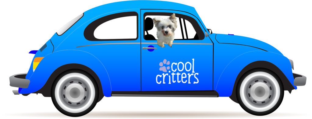 Cool critters | Where the cool cats and dogs hangout