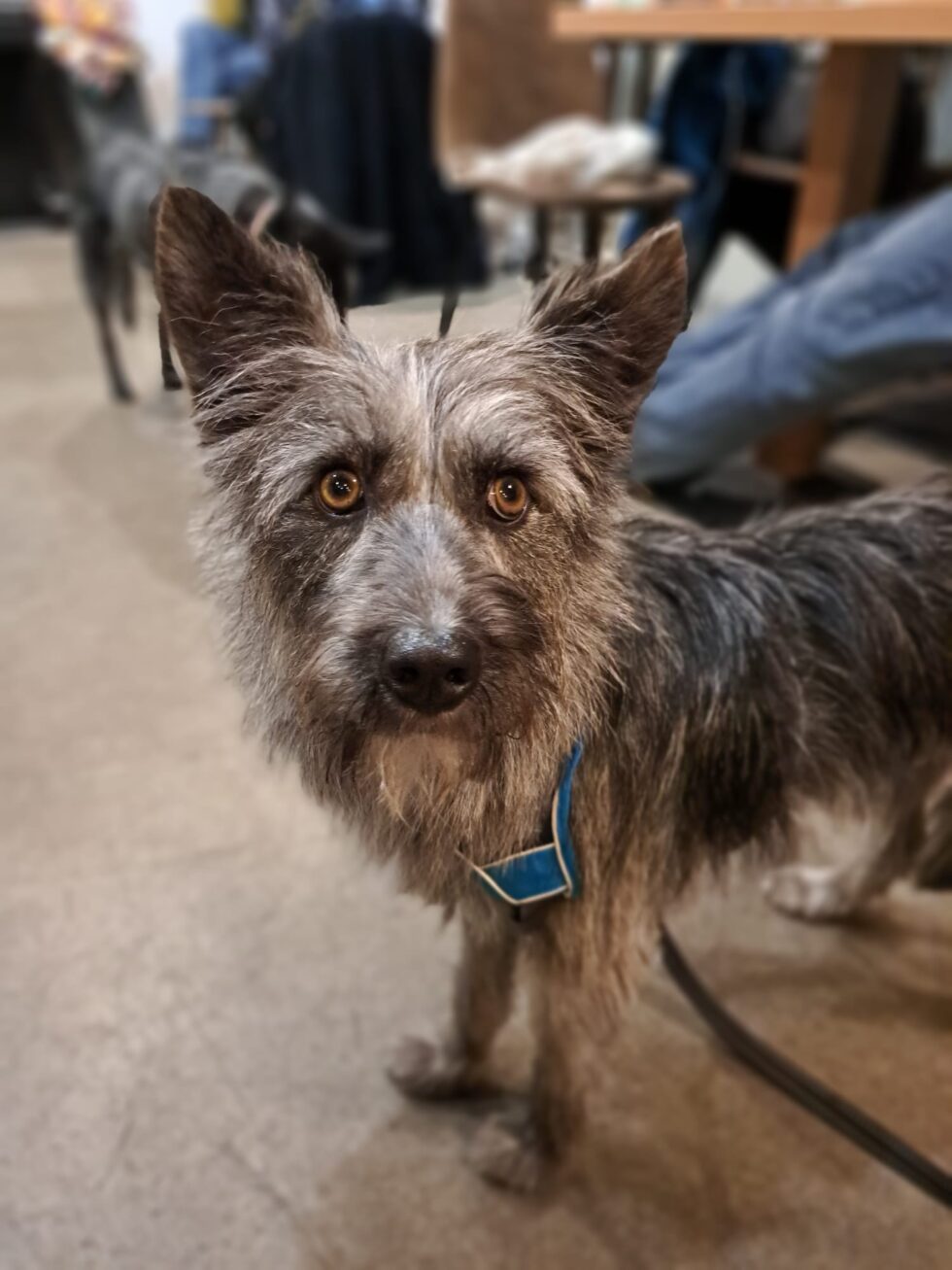 Our animals | Cool critters